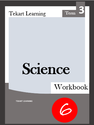 Primary School Workbooks | Free Educational Resources for P1-P7 ...