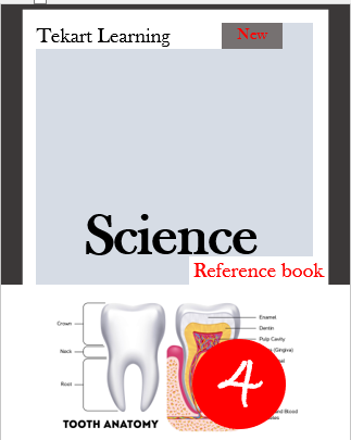 TekArt Learning - Comprehensive Study Notes for Primary & Secondary ...